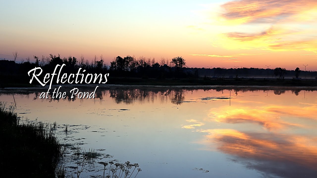 Reflections at the Pond - YouTube