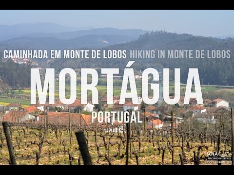 Caminhada em Monte de Lobos (Mortágua) - YouTube