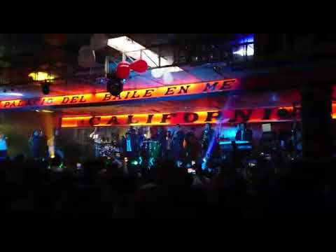 SIMBA MUSICAL - YouTube