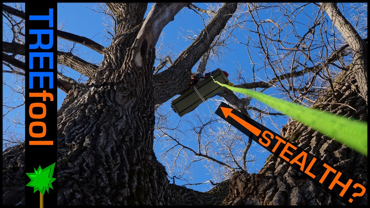 Urban Stealth Tree Camping is Awesome!?? - YouTube