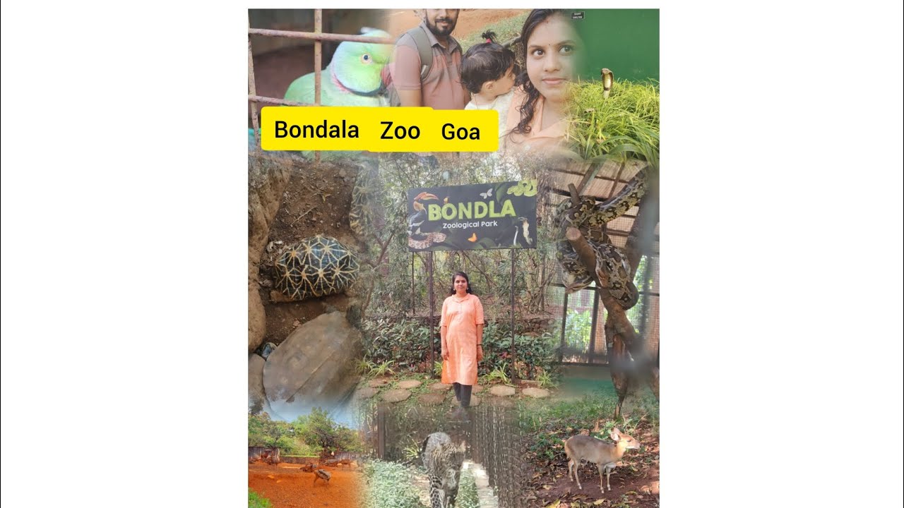 bondala wild life sanctuary Goa | Bondala | Zoo | evasurajvlogs - YouTube