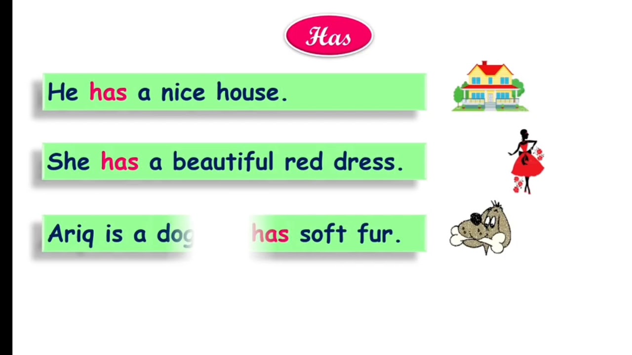 Has, Have, Had ★Eng Grammar★ Grade-2 - YouTube