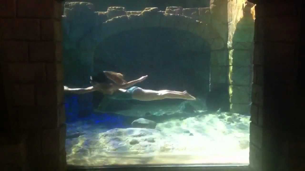 Pearl Diving at Sea World - YouTube