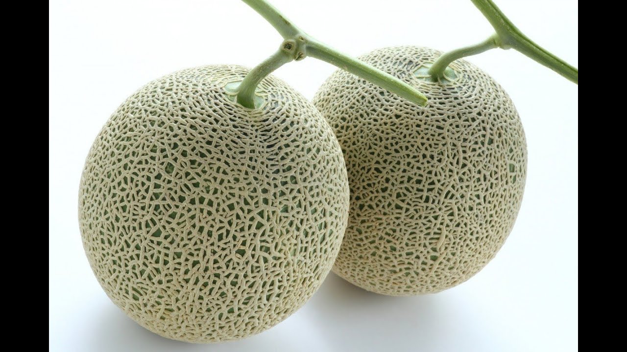 most expensive 10 fruits in the world | high priced fruits in the world ...
