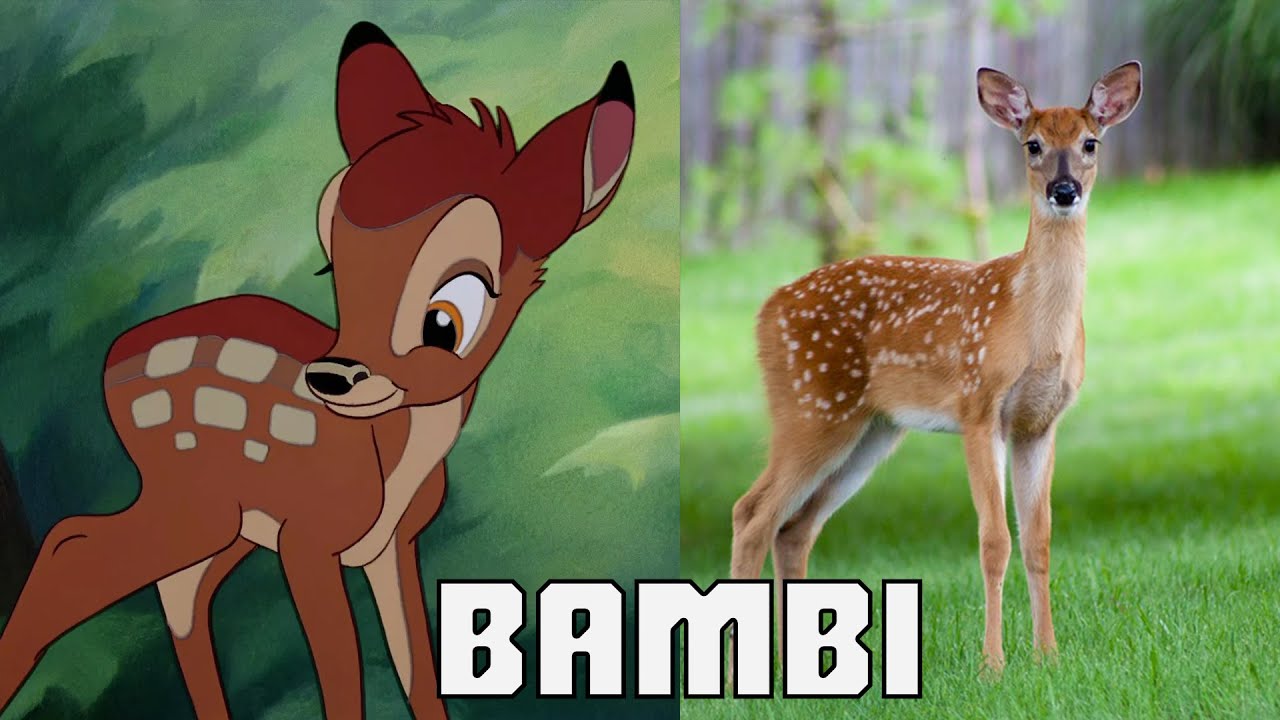 Bambi Characters in Real Life - YouTube