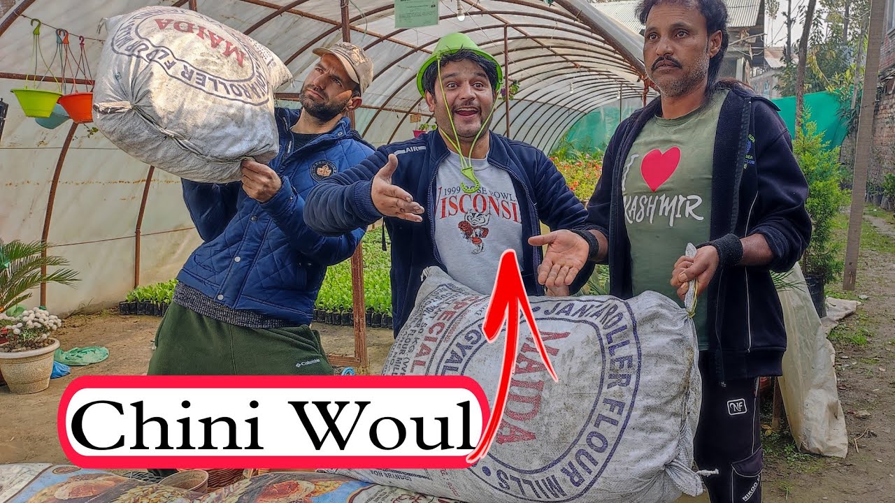 Chini Woul || Funny Kashmiri Drama by Comedy Kings - YouTube