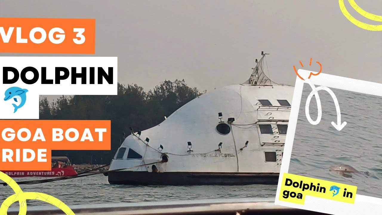 Top place in Goa | dolphin 🐬trip in goa | casino line in panjim | your ...