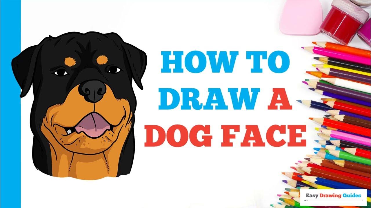 How to Draw a Dog Face: Easy Step by Step Drawing Tutorial for Beginners - YouTube