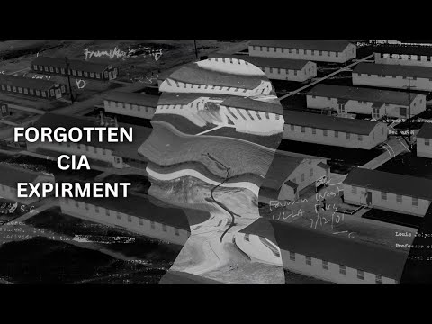 The Forgotten CIA Experiment That Went Too Far - YouTube