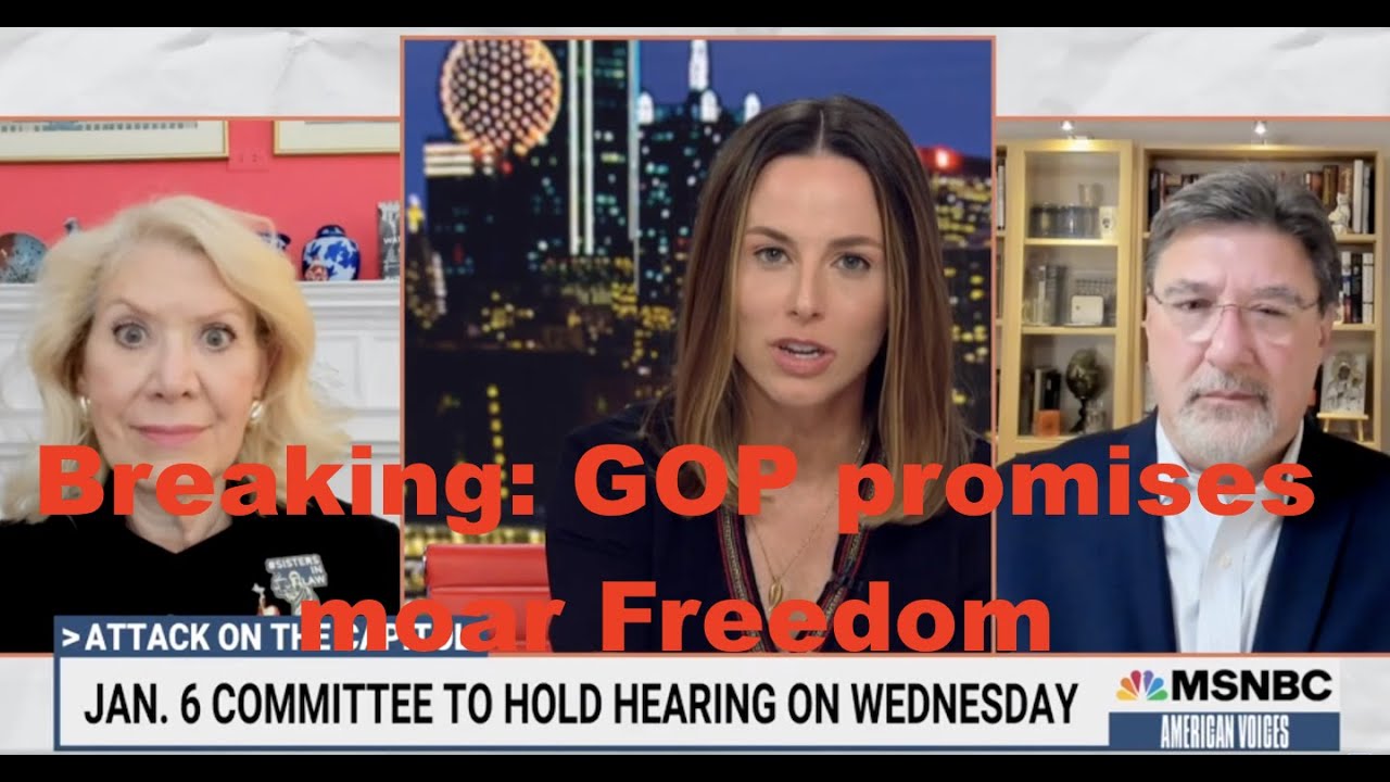 MSNBC warns a GOP win in November will lead to MOAR Freedom! Constrain ...