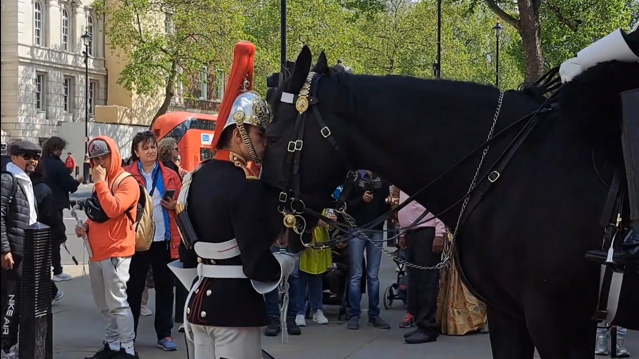 A heartwarming moment, the kings guard peter ellis kisses the horse on ...