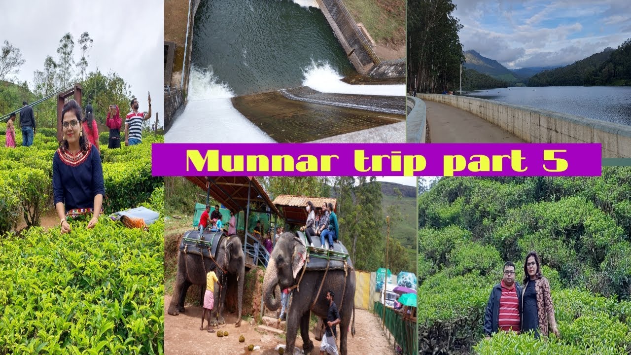 Tourist spots of Munnar/ মুন্নার এর সুন্দর দর্শনীয় স্থান - YouTube