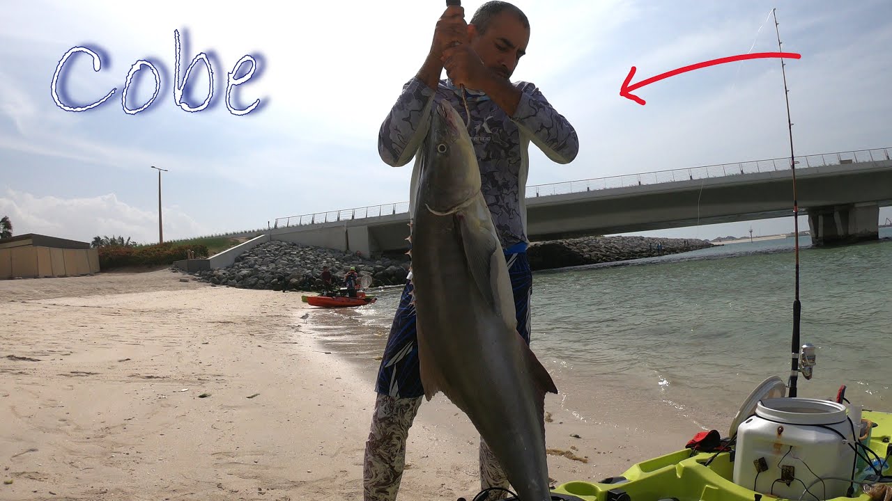 Cobia LiveBaiting on Kayak at The World islands Dubai - YouTube
