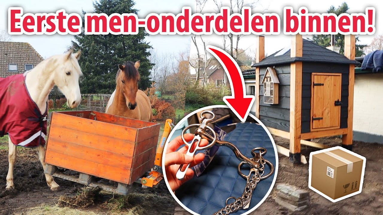 Klusjes en unboxing van eerste men-spullen! | felinehoi VLOGMAS #497 ...