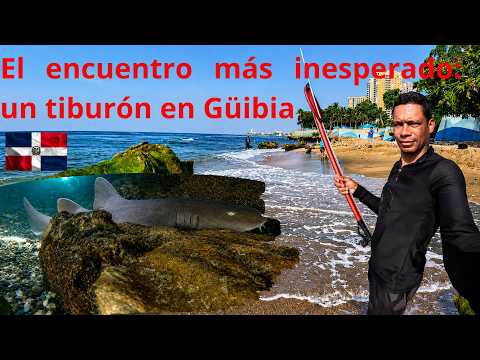*PESCA DE ARPÓN EN LA PLAYA DE GUIBÍA EN SANTO DOMINGO*