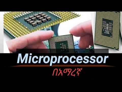 introduction to Microprocessor በአማረኛ