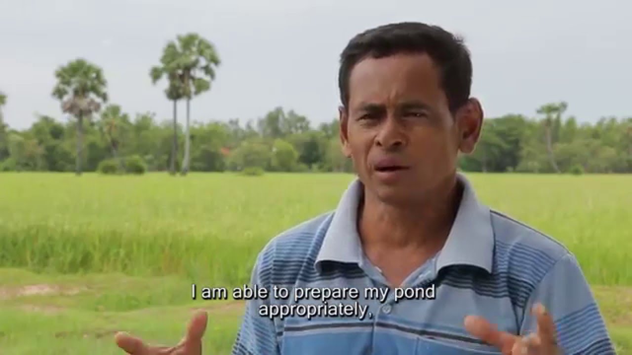 PADEE Best Practices Trailer_2015 - YouTube