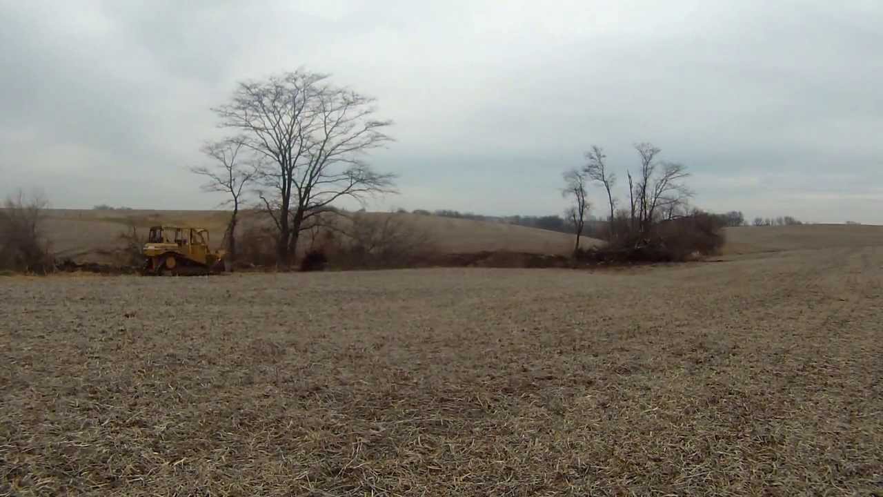 Bulldozing down some trees and brush - YouTube