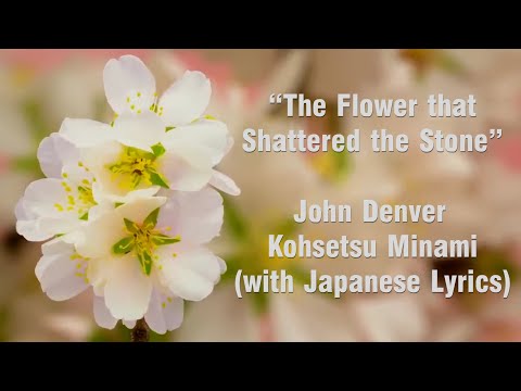 For 石川 恵子 Ishikawa, Keiko  The Flower that Shattered the Stone, John Denver and Kohsetsu Minami