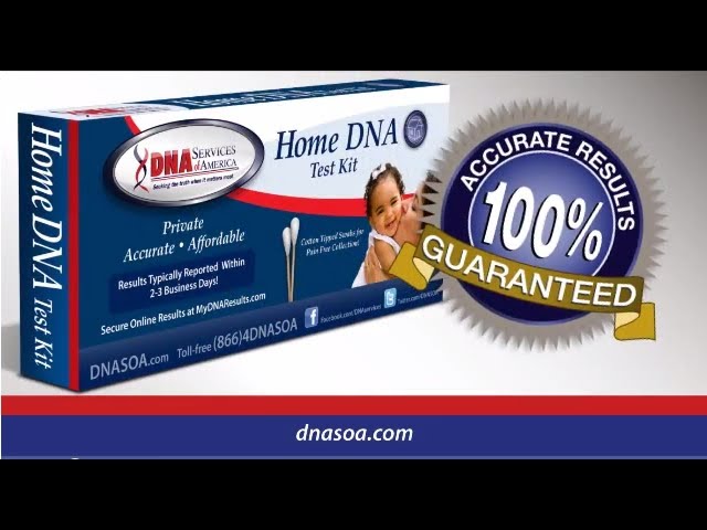 Home Paternity Test Kit Dischem - Home Alqu