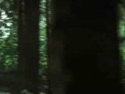 Lost and Delirious - Un break my heart