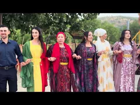 KOMA CİZİRE BAĞLAMACI VEDO - ARAN ZONE KÖYÜ GRANİ 2027 #keşfet 