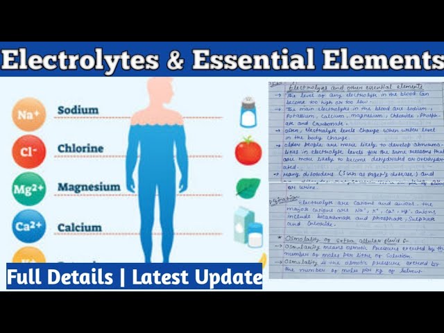 Electrolytes In The Body