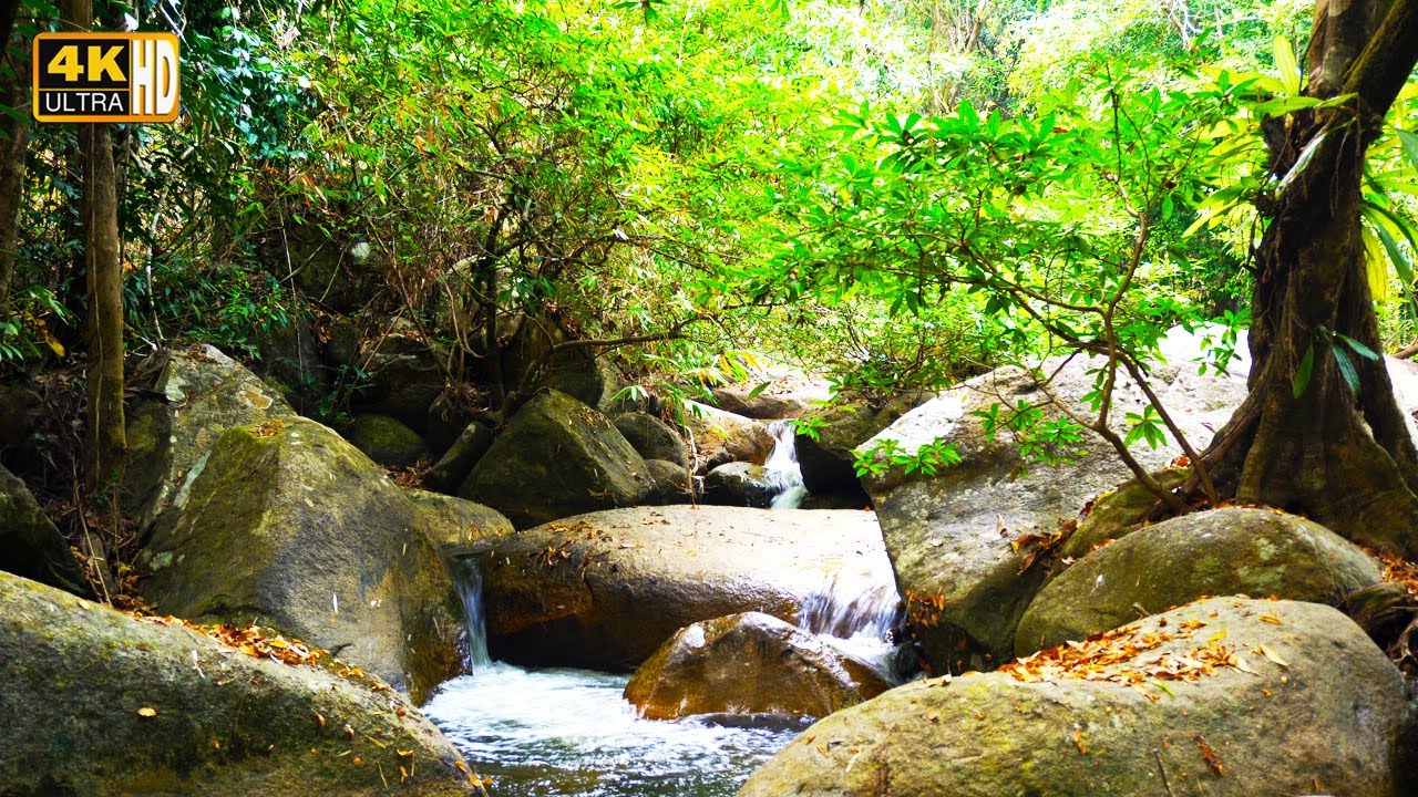 Nature's Secret Oasis: Soothing Sounds of Hidden River Stream Holes ...
