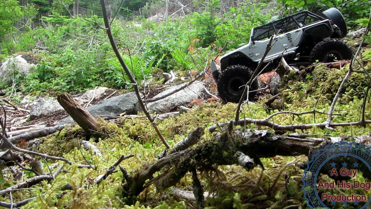 Axial Racing Wroncho..... 80 Turn RC4WD in Deep Woods Wroncho - YouTube