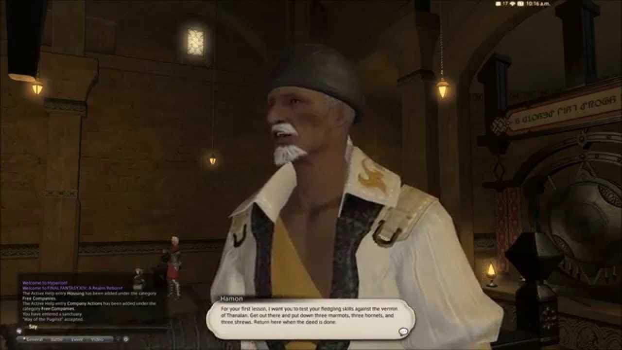 Final Fantasy Xiv Pugilist