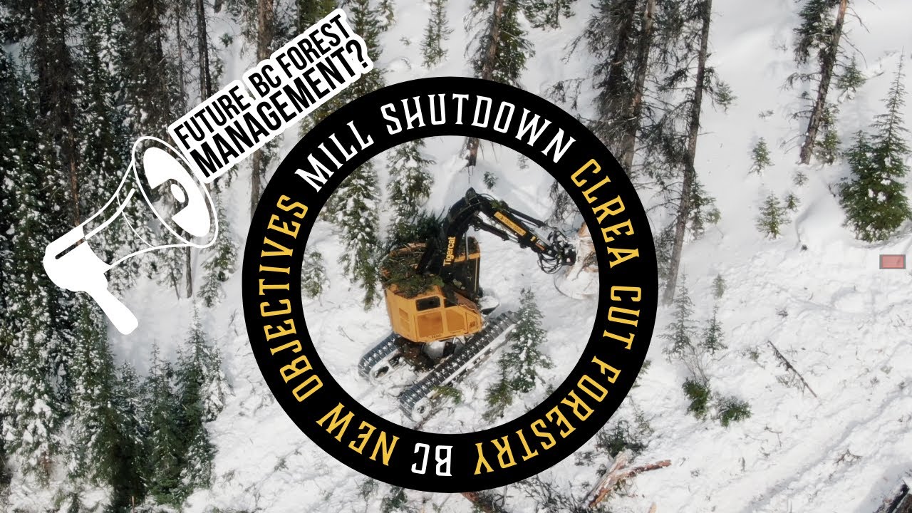 What is the Future of Managing British Columbia's Forest? #forestry # ...