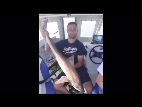 Tandem boat fishing Alaska 500 and Seahog Samurai | boat rescue and tow ...