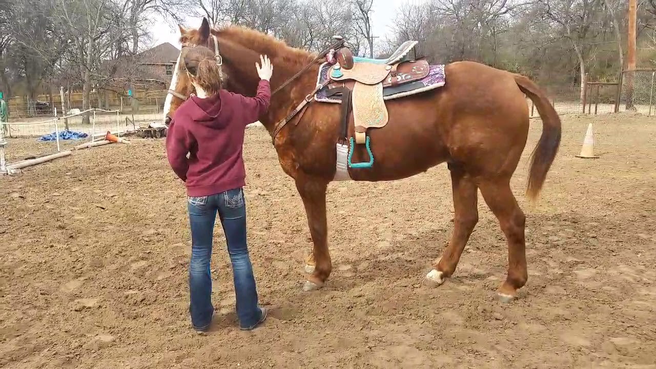 Youth Riding Lessons for begginer youth barrel racing - exercises to ...