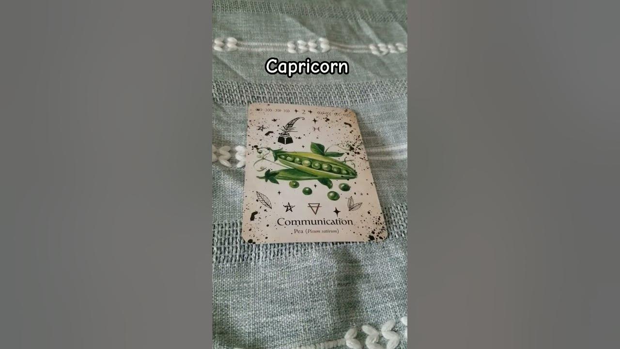 Capricorn~one Card Oracle Oraclecards Oraclereading Oraclemessages Youtube