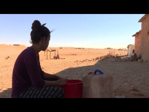 Refugees in Algeria yearn for homeland in Western Sahara - YouTube