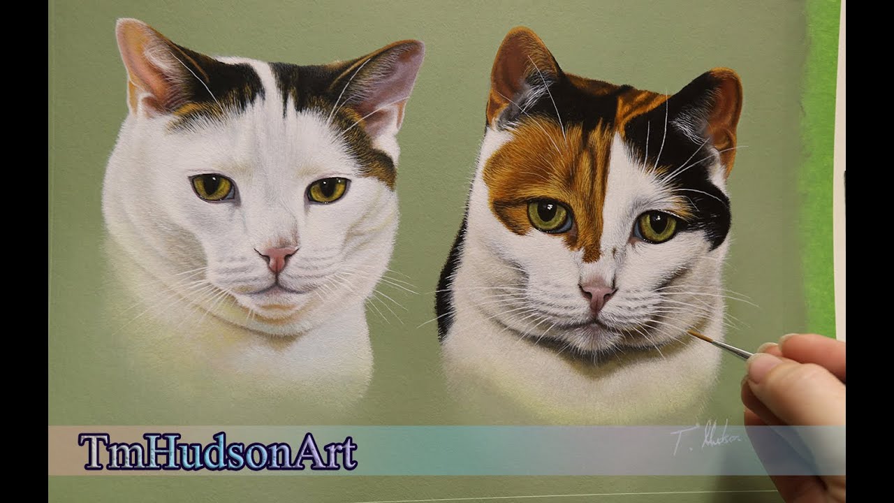 Painting realistic cats in acrylic - Timelapse and chat. - YouTube