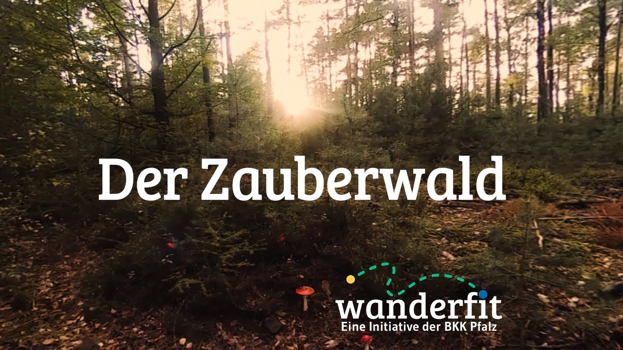 Entspannungsreise durch den Zauberwald