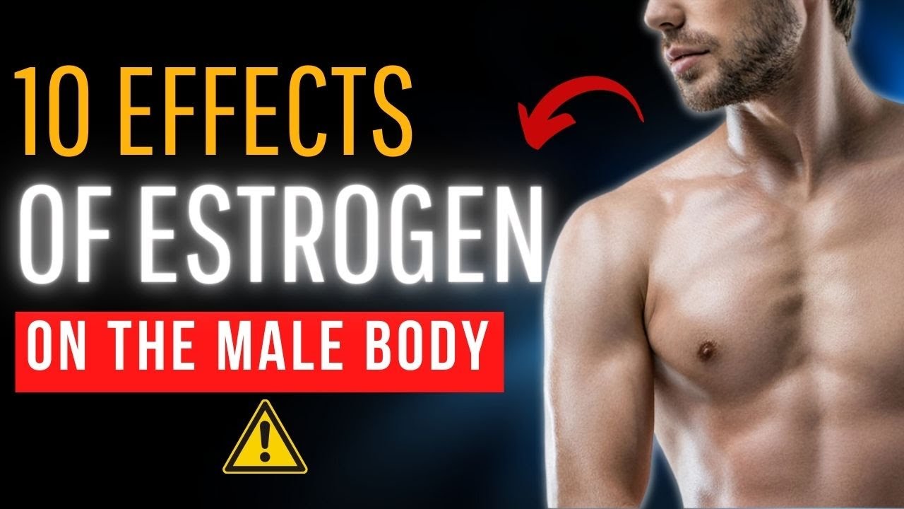 10 Effects of Estrogen on the Male Body Reduce Estrogen - YouTube