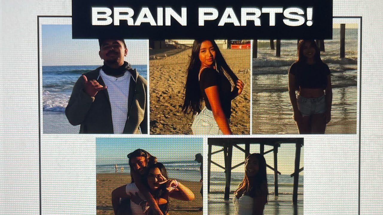 Brain Rap Song, Ap psych! - YouTube