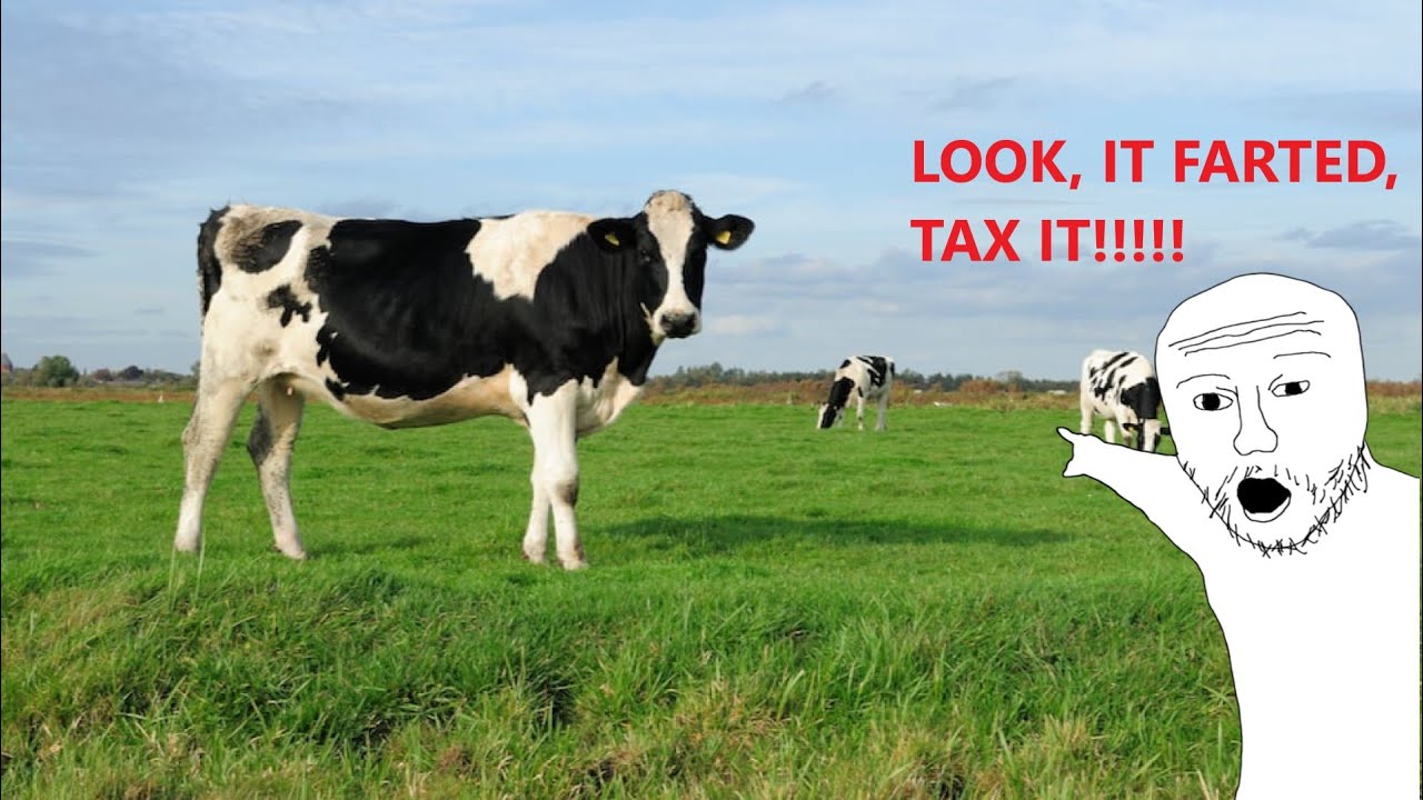 Denmark to implement a " climate change" animal 'farting' tax - YouTube