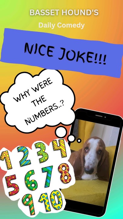 Nice Numbers joke from Basset Hound's daily comedy. Hilarious! 🤣😂 - YouTube