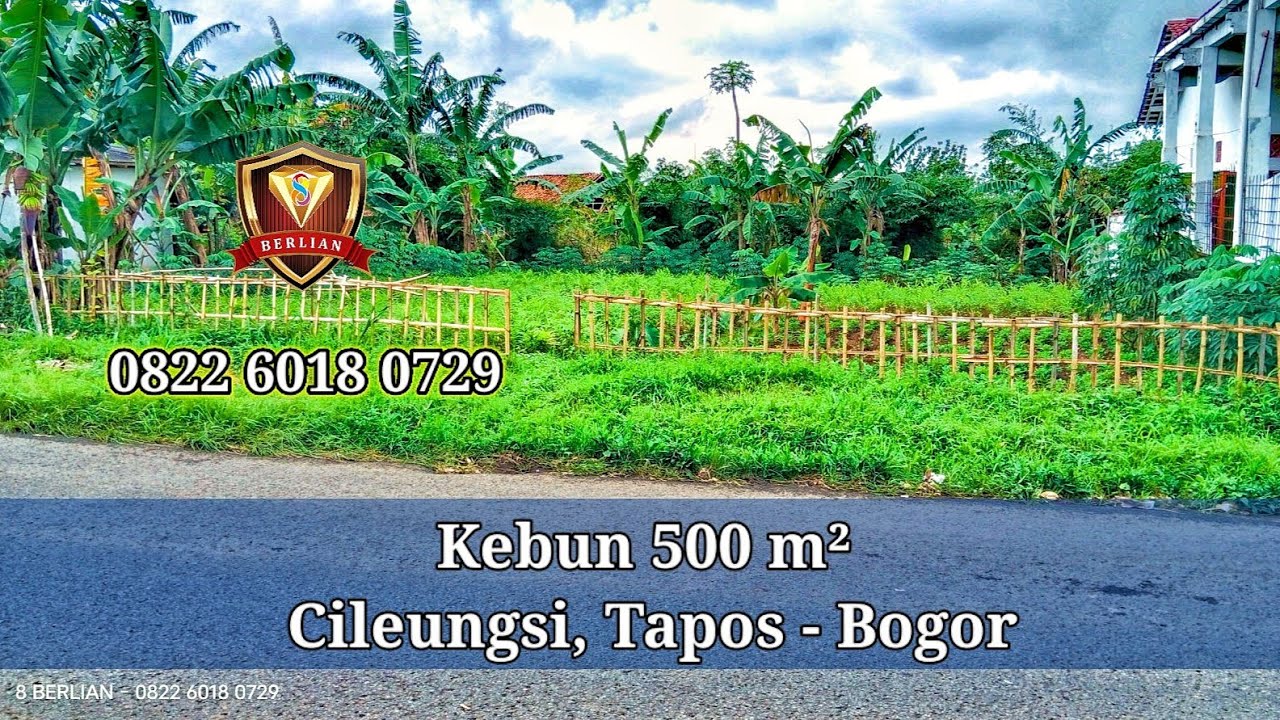 Tapos Ciawi Bogor 500 m² pinggir jalan desa, lokasi NYAMAN - YouTube