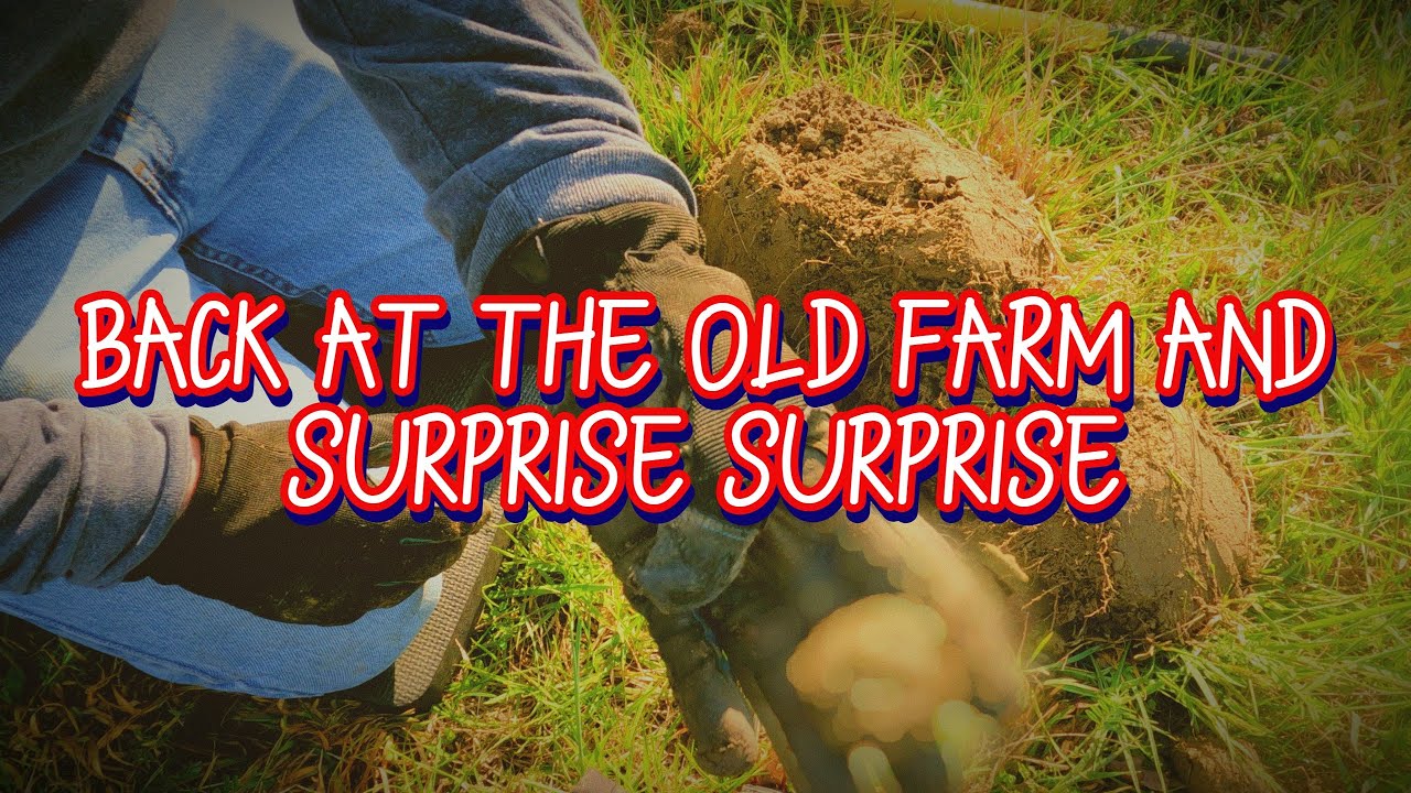 What Ancient Mysteries Lie Buried in this Virginia Farm? Find Out Now ...