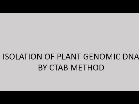 Isolation of Plant Genomic DNA by CTAB Method - YouTube