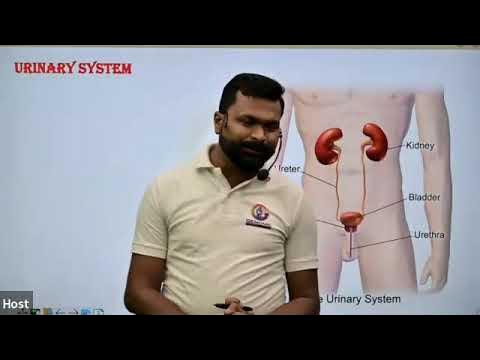 Urinary System (Part 1) || Explained in Hindi II By Gourav Sir - YouTube