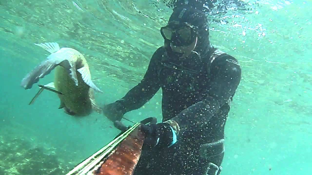 SPIGOLA 4 KG CON DEDICA A GIANNI POLO E FRANK PORCU. - YouTube