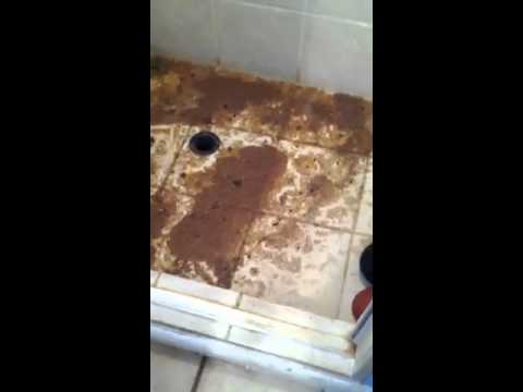Shower poop! - YouTube