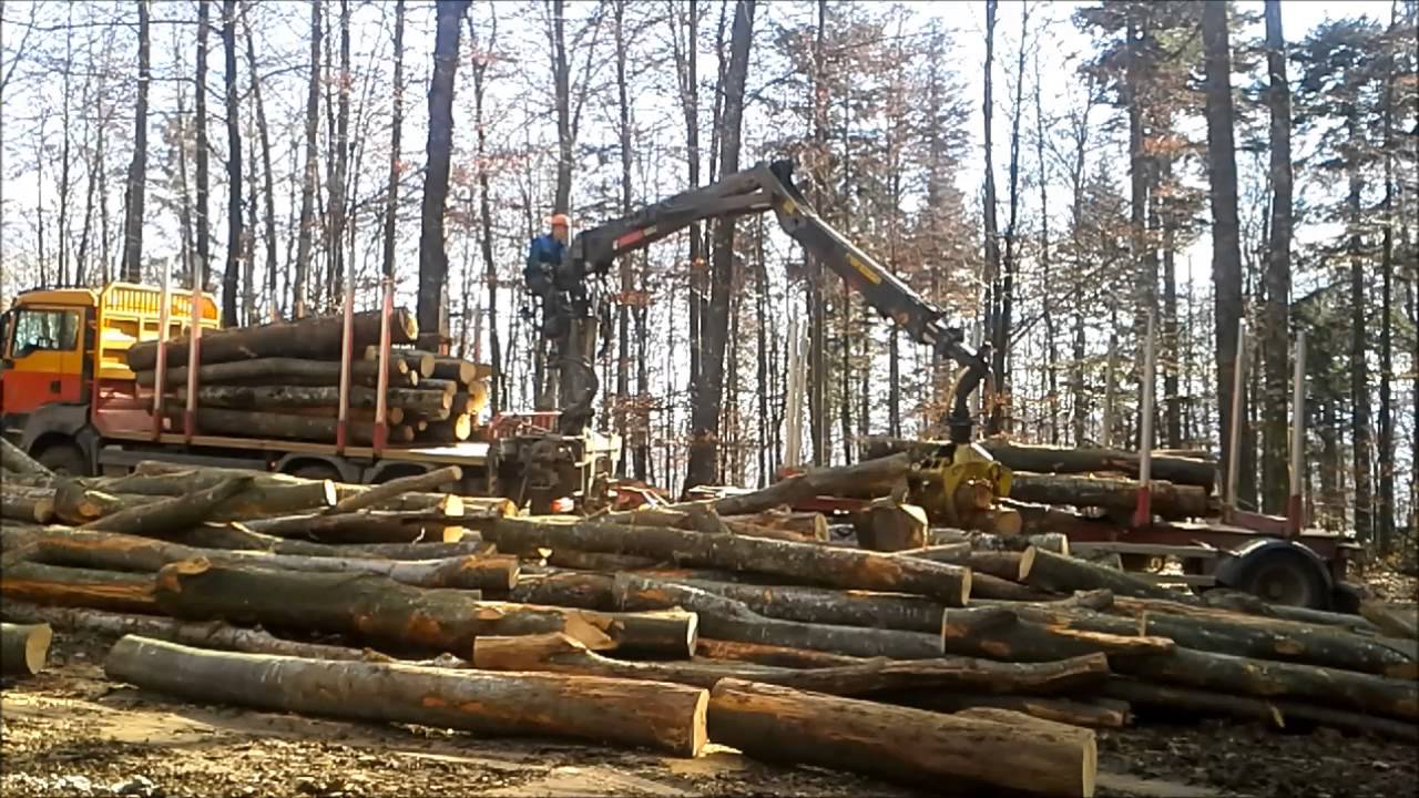 MAN tgs timber truck - YouTube