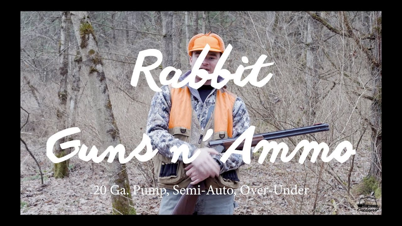 Small Game Gun and Ammo Choice - YouTube