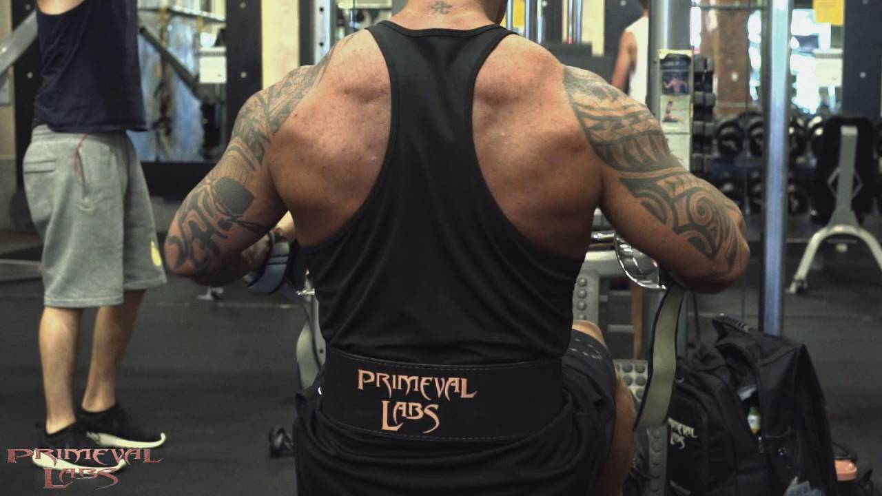 Primeval Labs Jerry Ward Trains Back - YouTube